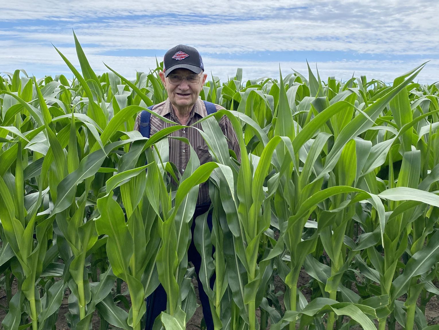 Crops Look Good But Need Hot Days